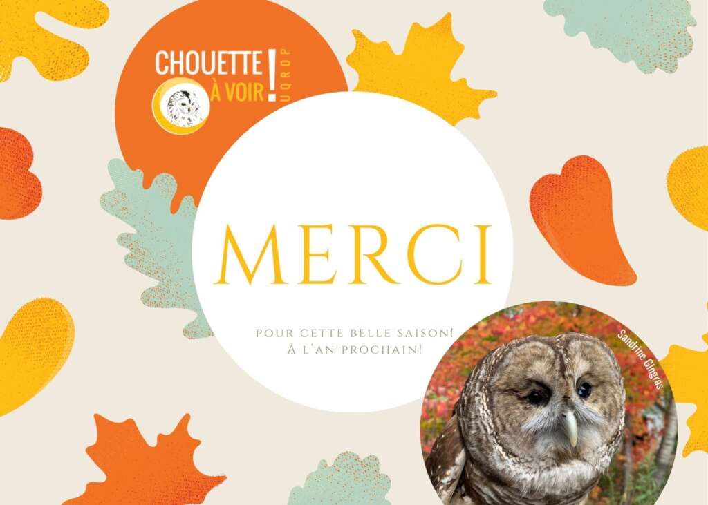 Merci pour la belle saison 2023! | Chouette à Voir